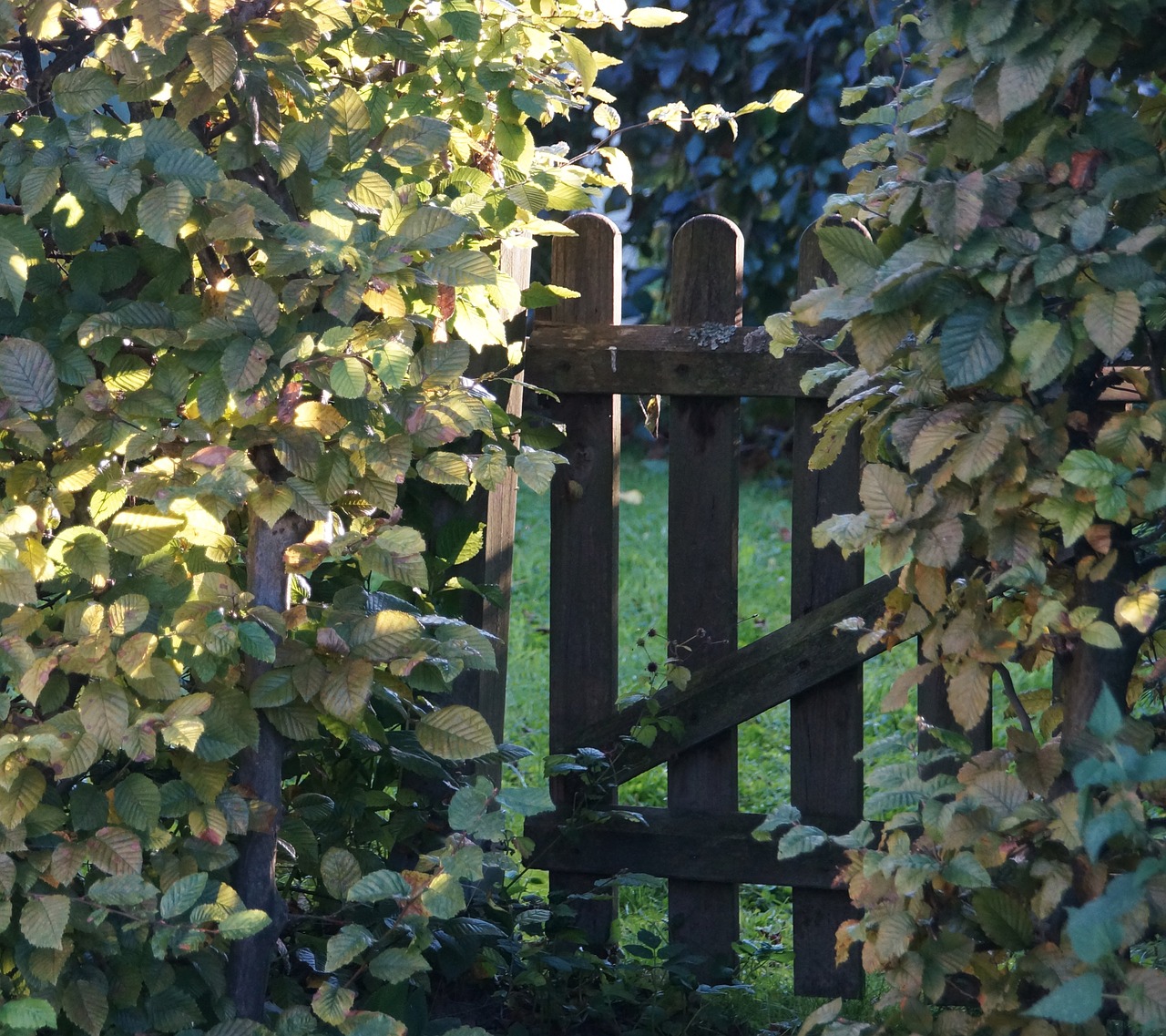 Fencing Repairs in Harrow, Ealing, Wembley & Across Middlesex Area